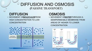cell-membrane-lesson-ppt (2)_organized (1).pdf