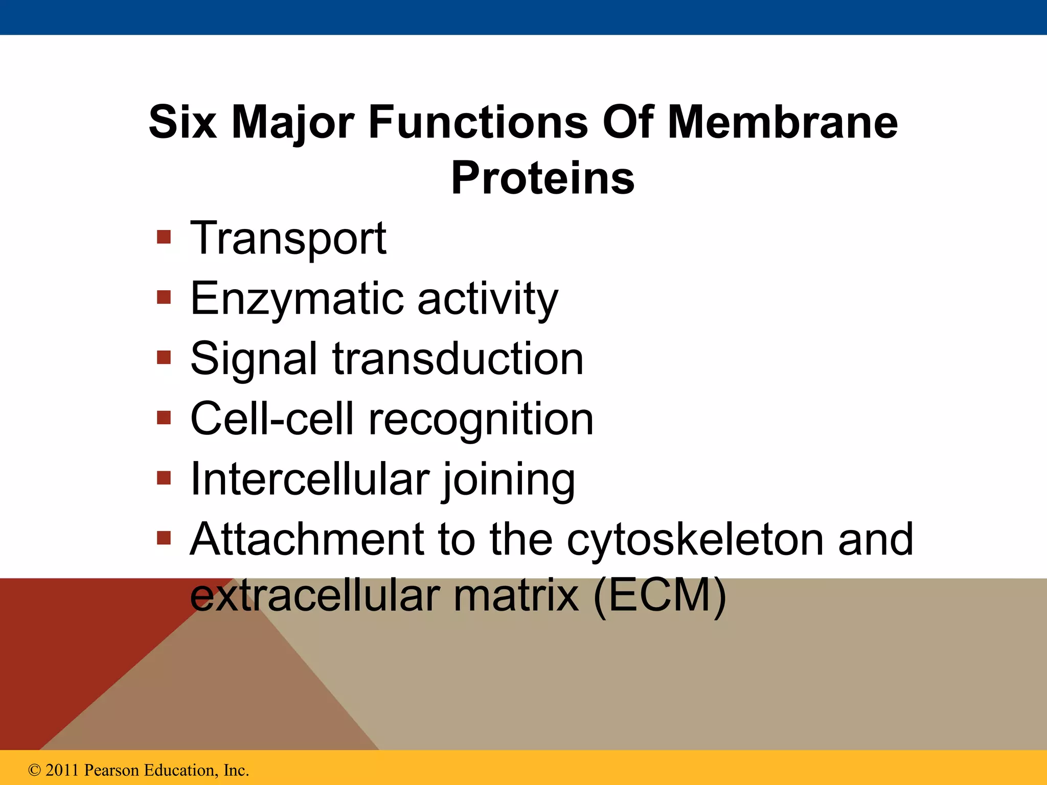 CELL-MEMBRANE-STRUCTURE-FUNCTION-WEEK-5.ppt