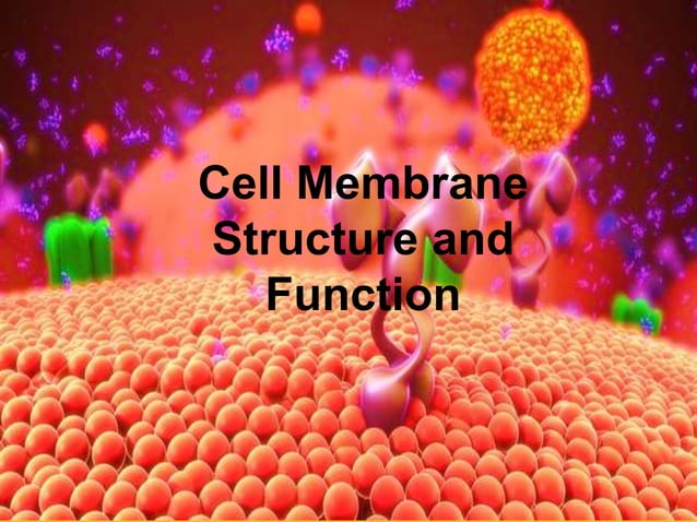 CELL-MEMBRANE-STRUCTURE-FUNCTION-WEEK-5.ppt