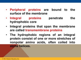CELL-MEMBRANE-STRUCTURE-FUNCTION-WEEK-5.ppt