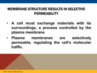 CELL-MEMBRANE-STRUCTURE-FUNCTION-WEEK-5.ppt