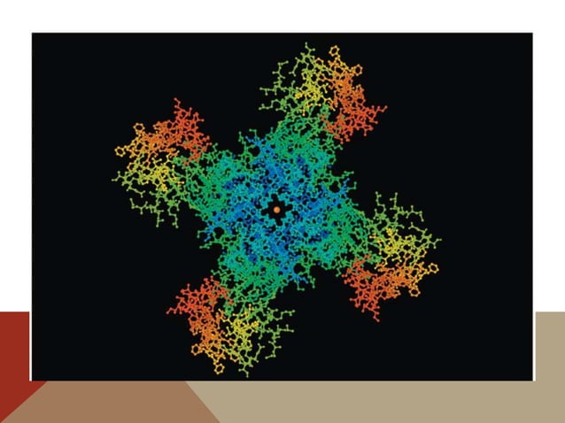 Cell Membrane Structure Function Week 5 Ppt