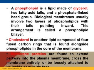 CELL-MEMBRANE-STRUCTURE-FUNCTION-WEEK-5.ppt