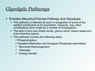 Cell Metabolism | PPT