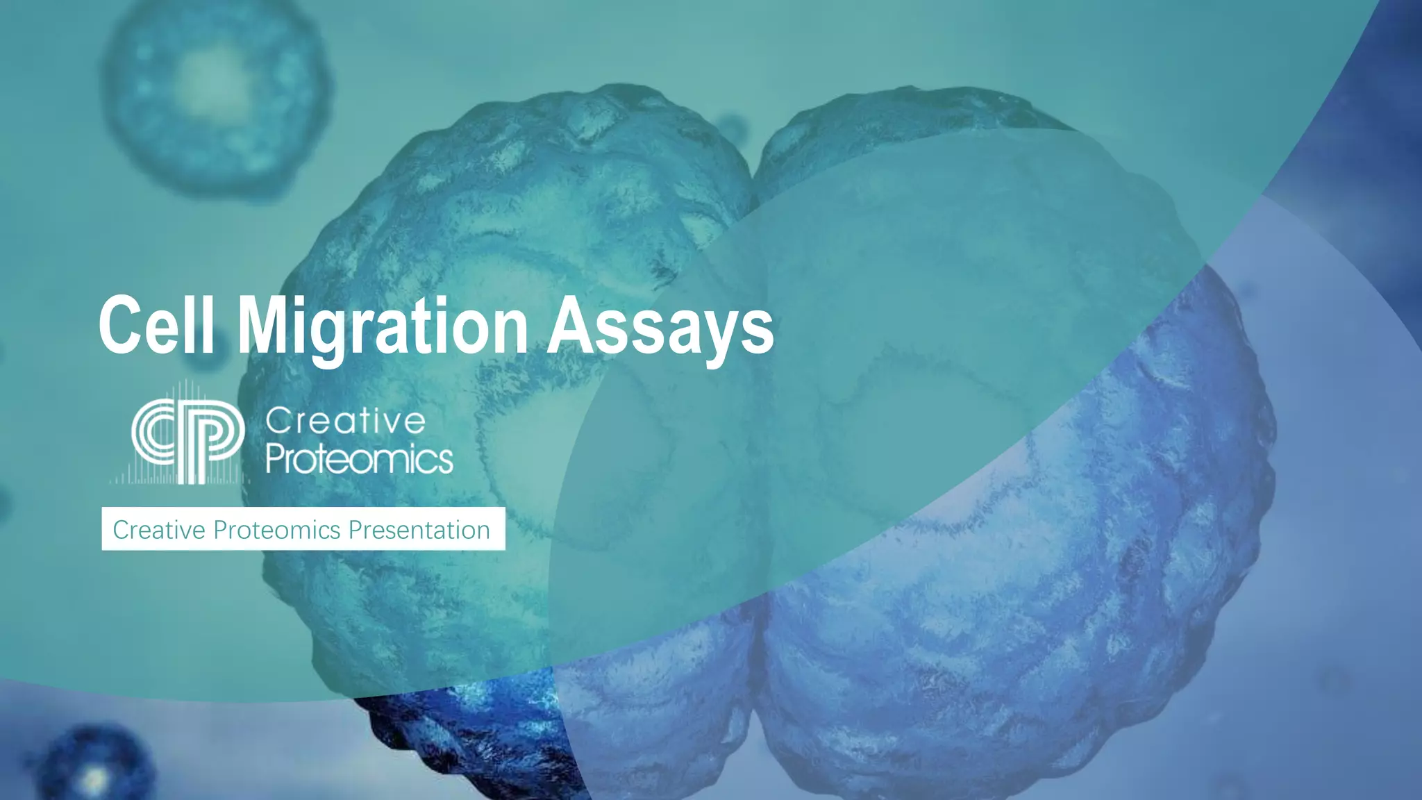 Brief Introduction: Cell Migration Assay | PPTX