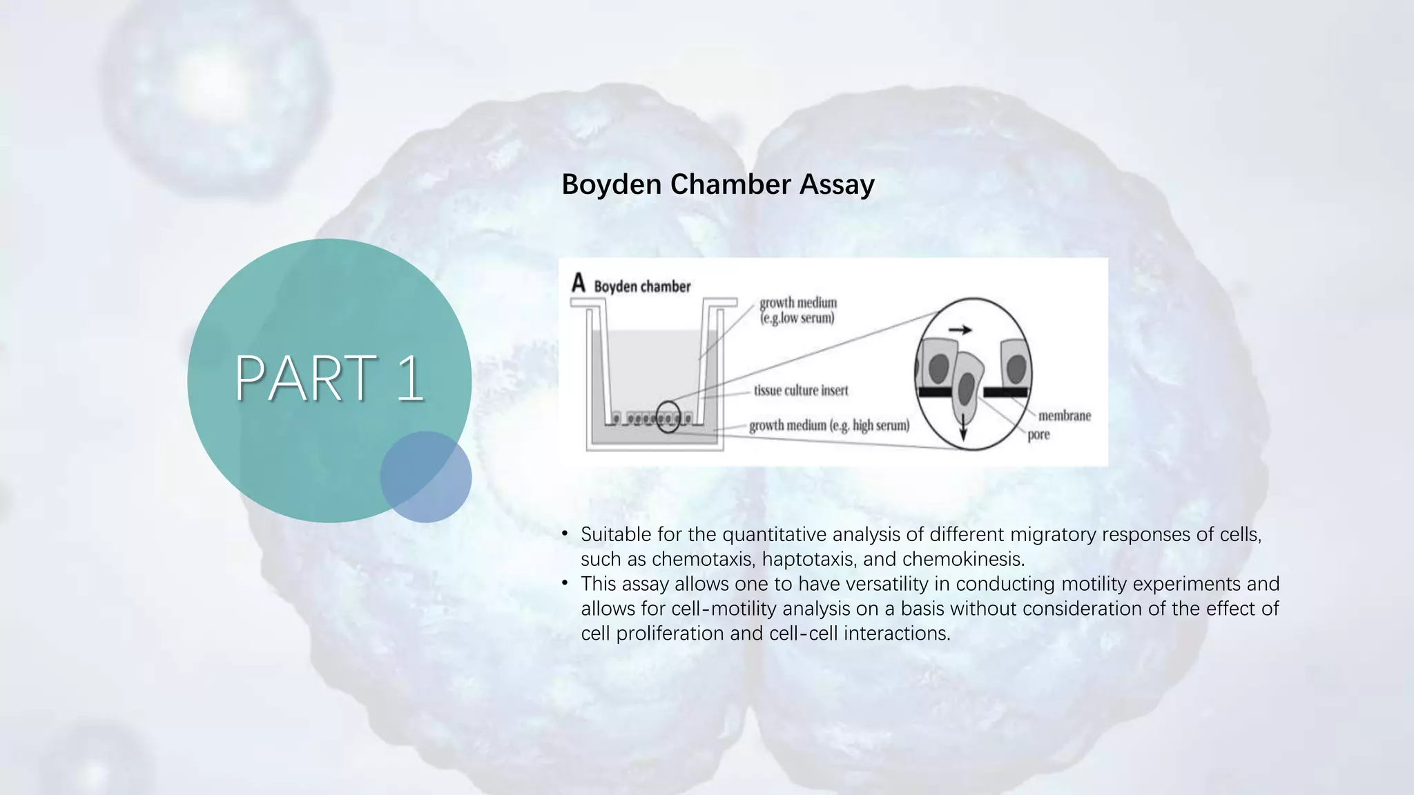Brief Introduction: Cell Migration Assay | PPTX