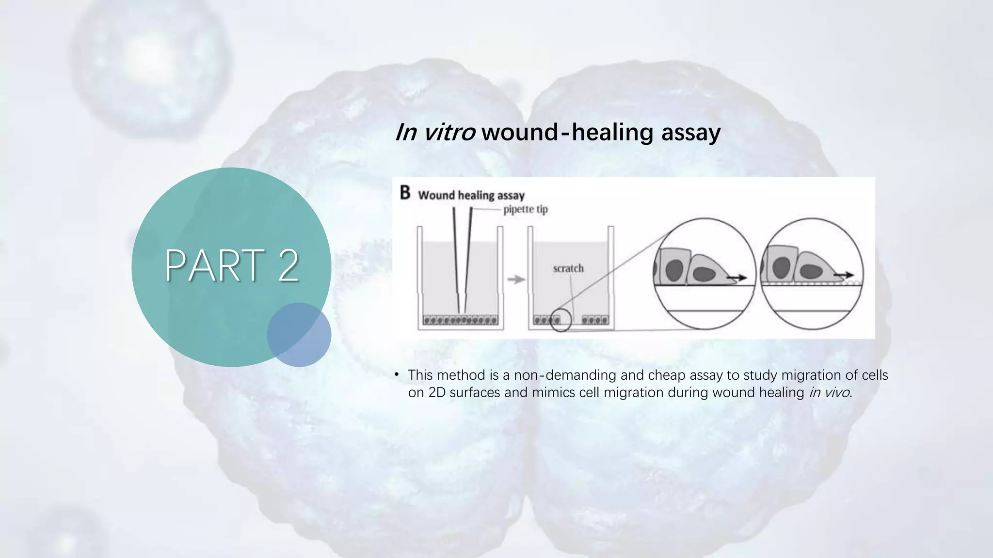 Brief Introduction: Cell Migration Assay | PPTX
