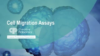 Brief Introduction: Cell Migration Assay | PPTX