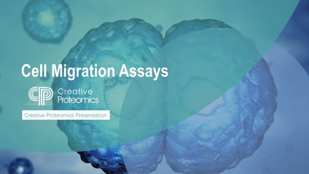 Brief Introduction: Cell Migration Assay | PPTX
