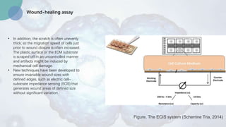 Brief Introduction: Cell Migration Assay | PPTX