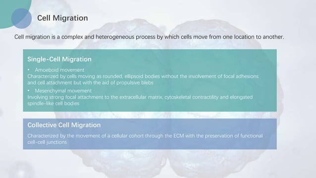 Brief Introduction: Cell Migration Assay | PPTX