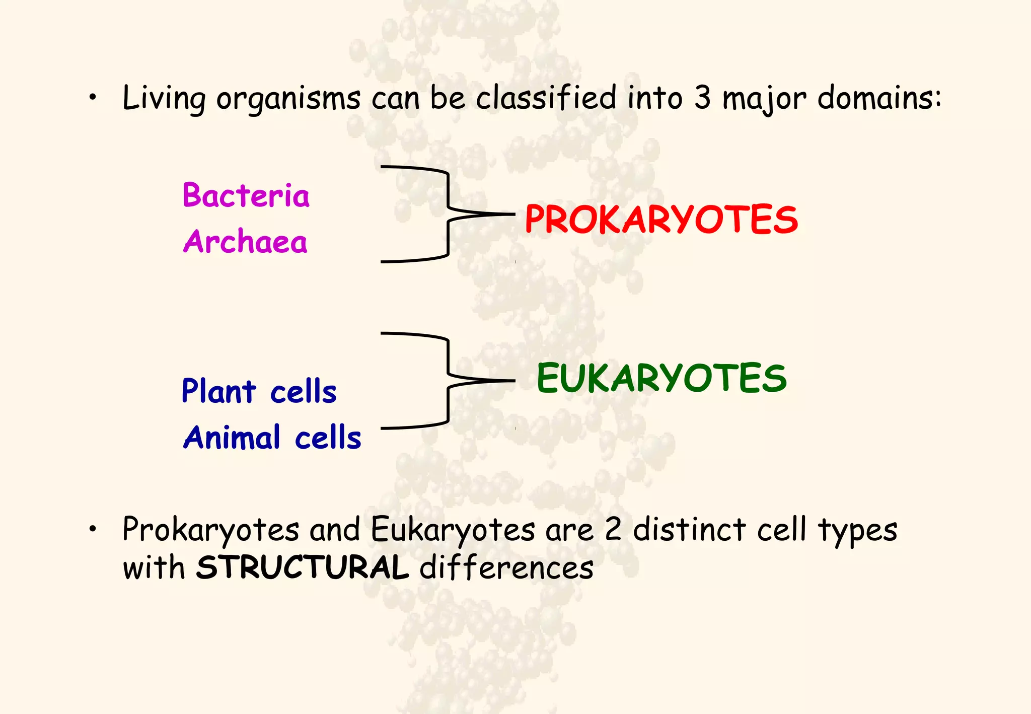 Cell & Molecular Biology | PPT