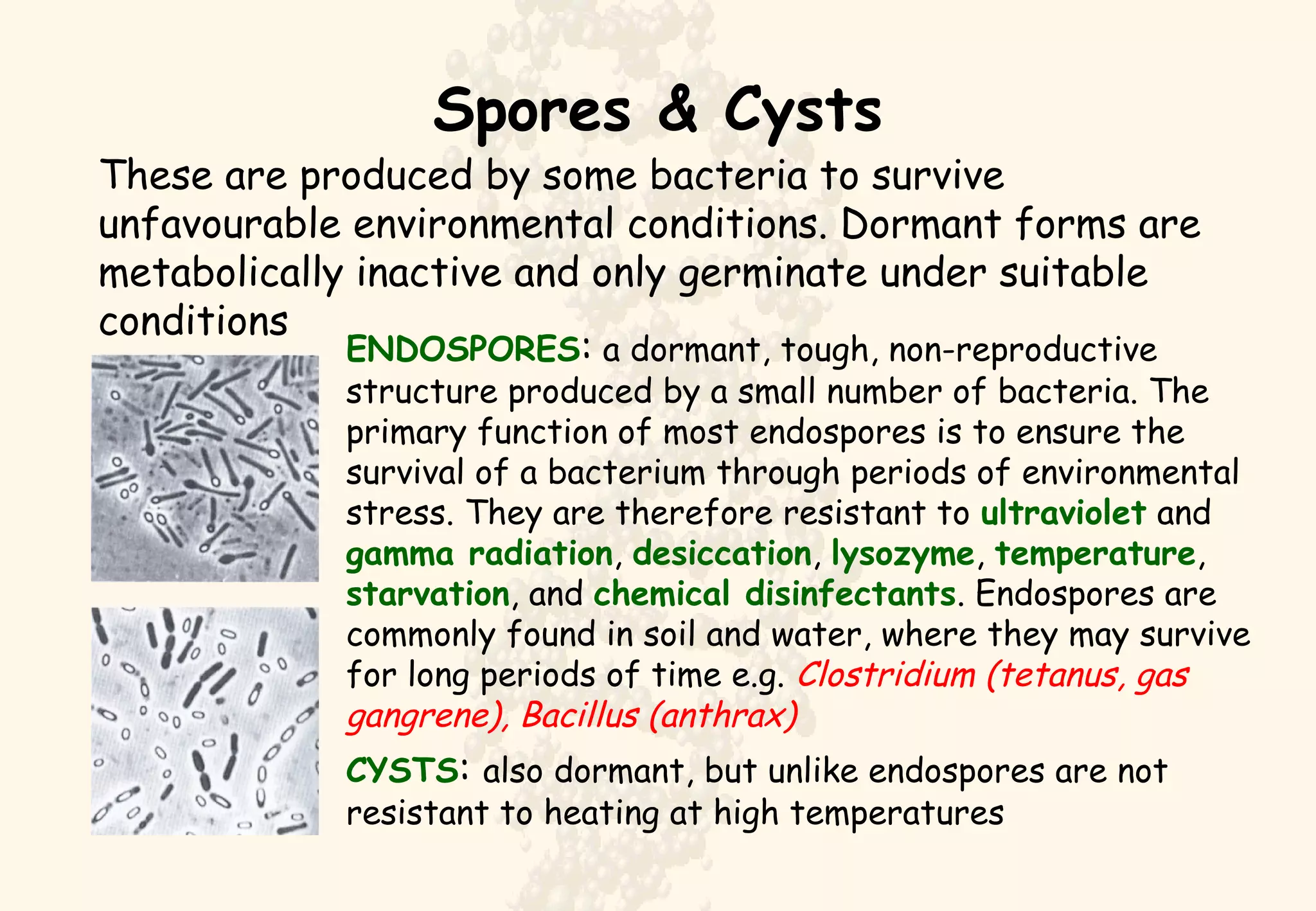 Cell & Molecular Biology | PPT