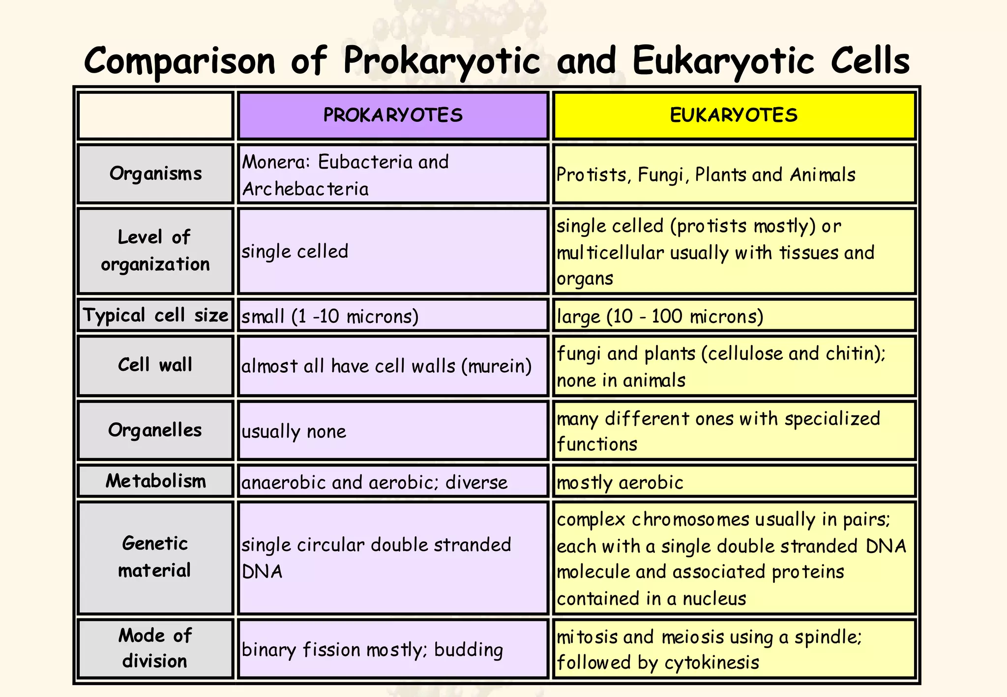 Cell & Molecular Biology | PPT