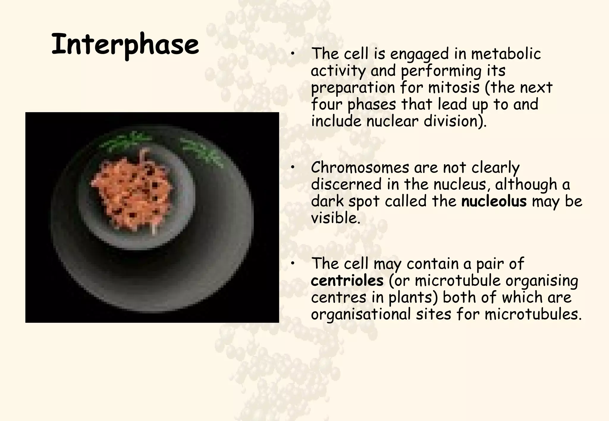 Cell & Molecular Biology | PPT
