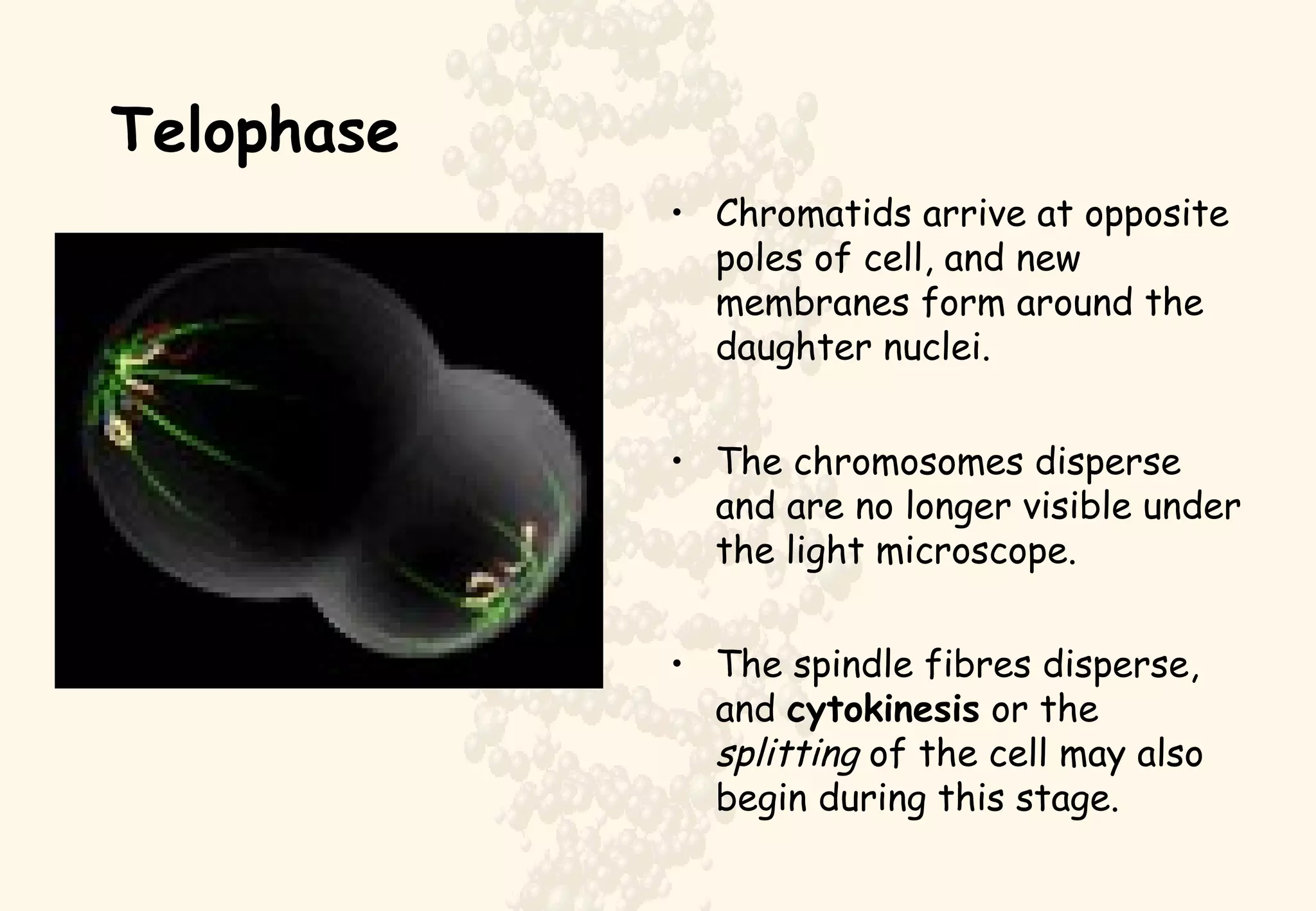 Cell & Molecular Biology | PPT