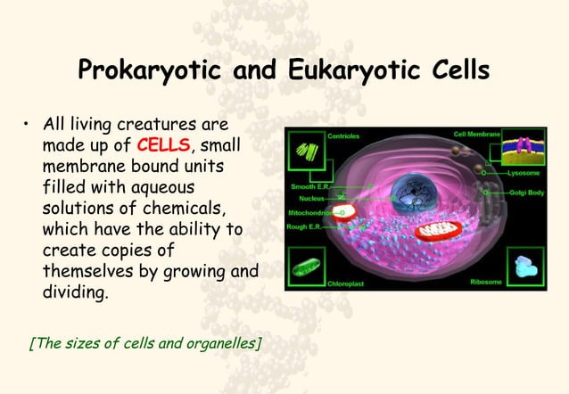 Cell & Molecular Biology | PPT