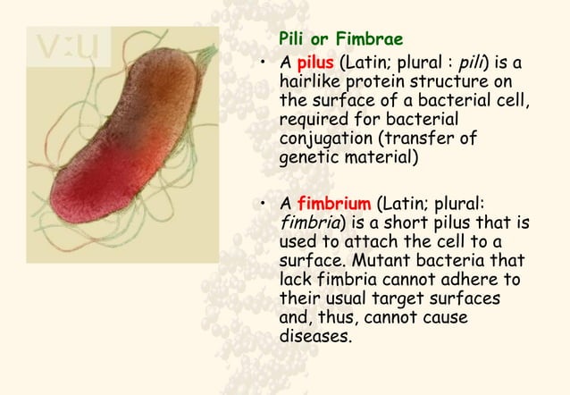 Cell & Molecular Biology | PPT