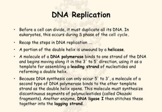 Cell & Molecular Biology | PPT