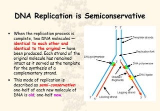 Cell & Molecular Biology | PPT