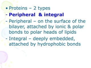 cell - nursing.ppt