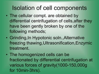 Cell organele AIMC | PPT | Biological Sciences | Science