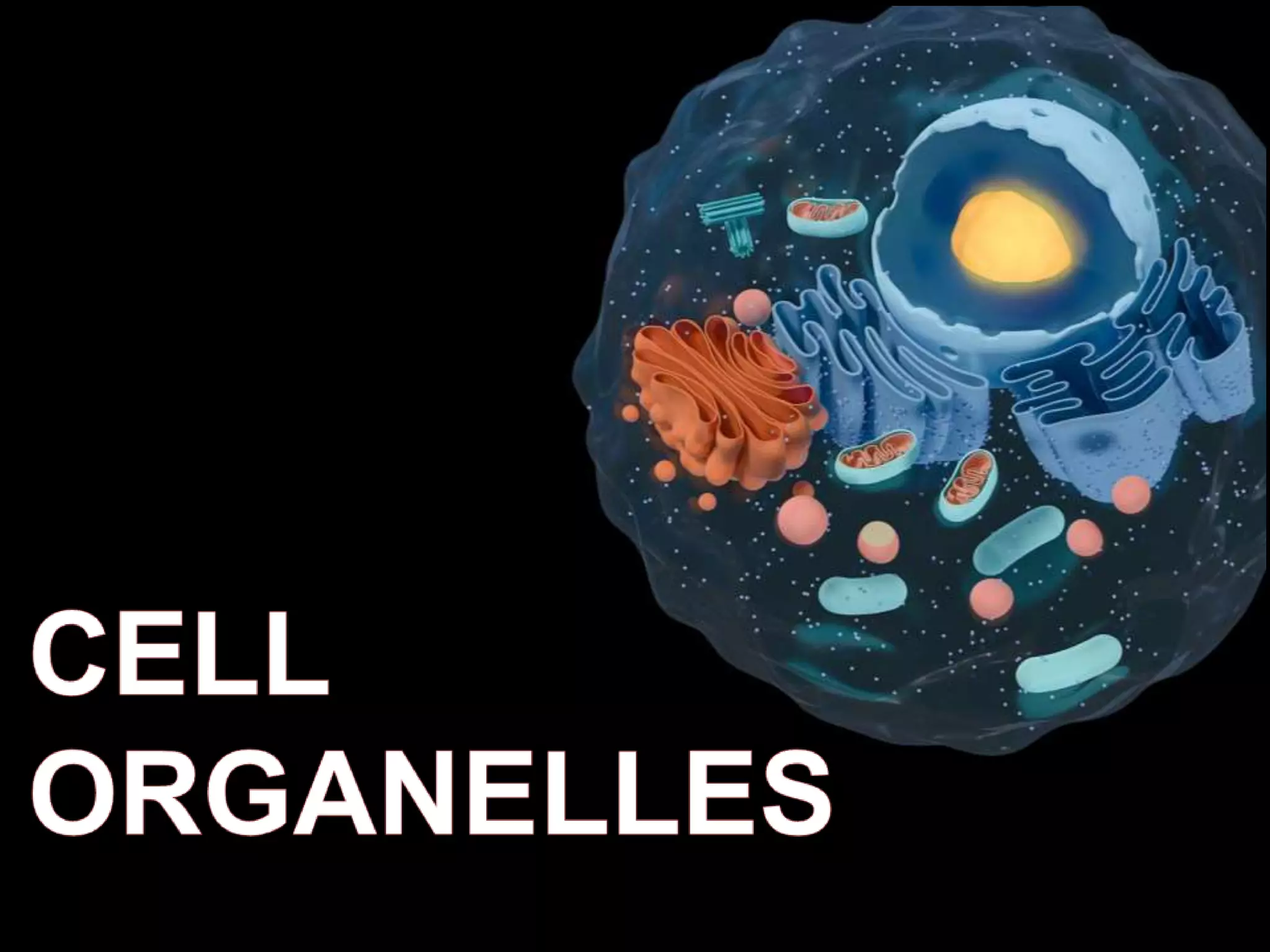 Cell-Organelles.pptx