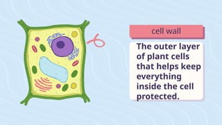 Cell-organelles powerpoint presentation.pptx