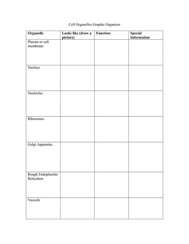 Cell Organelles Graphic Organizer | DOC