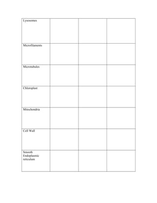 Cell Division Graphic Organizer