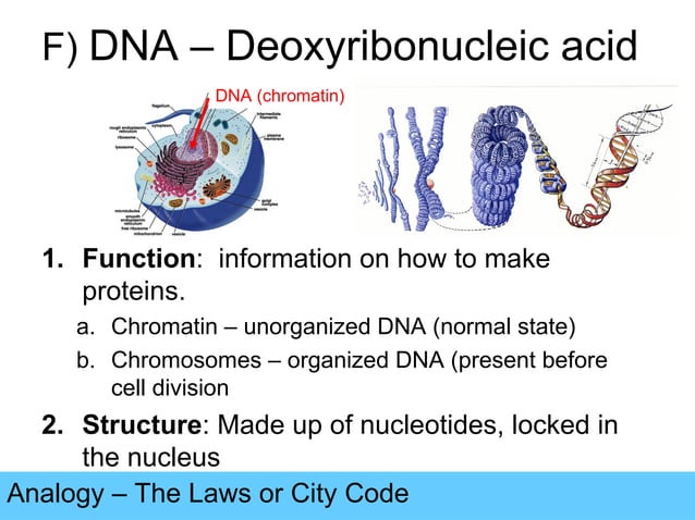 Cell-Organelles-Review for Science Subjects.ppt