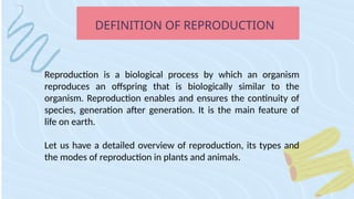 Cell-Organelles-Structures-Lesson-Presentation-in-Blue-and-Pink-Hand ...