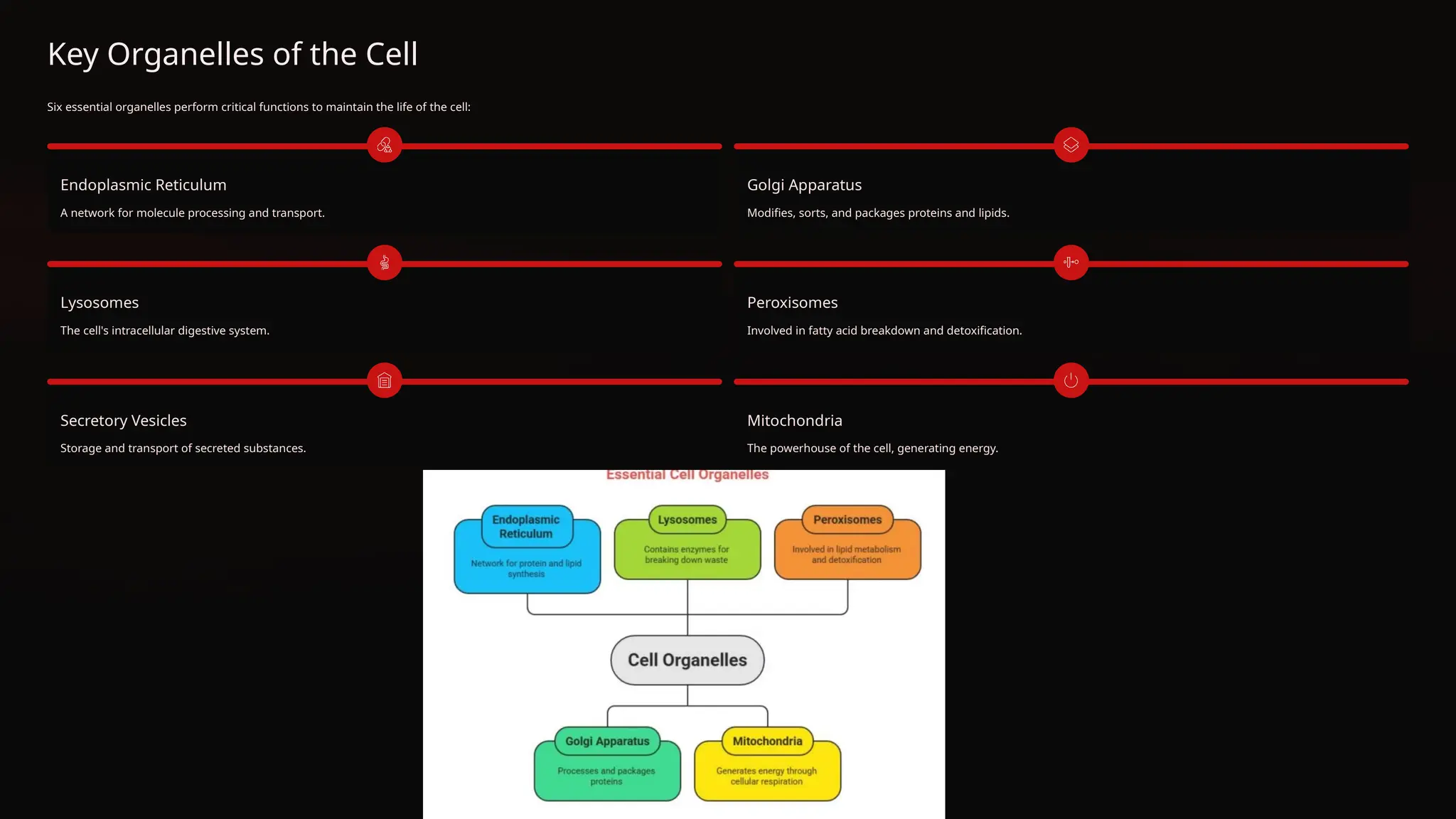 CELL-ORGANELLES-The-Building-Blocks-of-Life.pptx