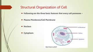 CELL - PART 2.pptx