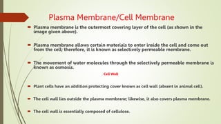 CELL - PART 2.pptx