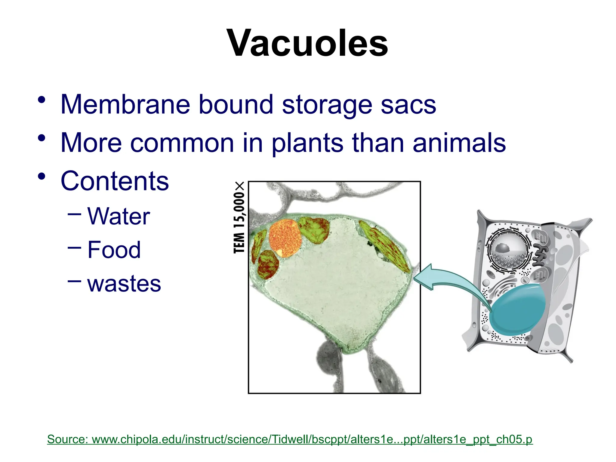 Cell-Parts-and-Functions-Biochem. presentation | PPTX