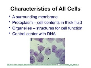 Cell-Parts-and-Functions-Biochem. presentation | PPTX