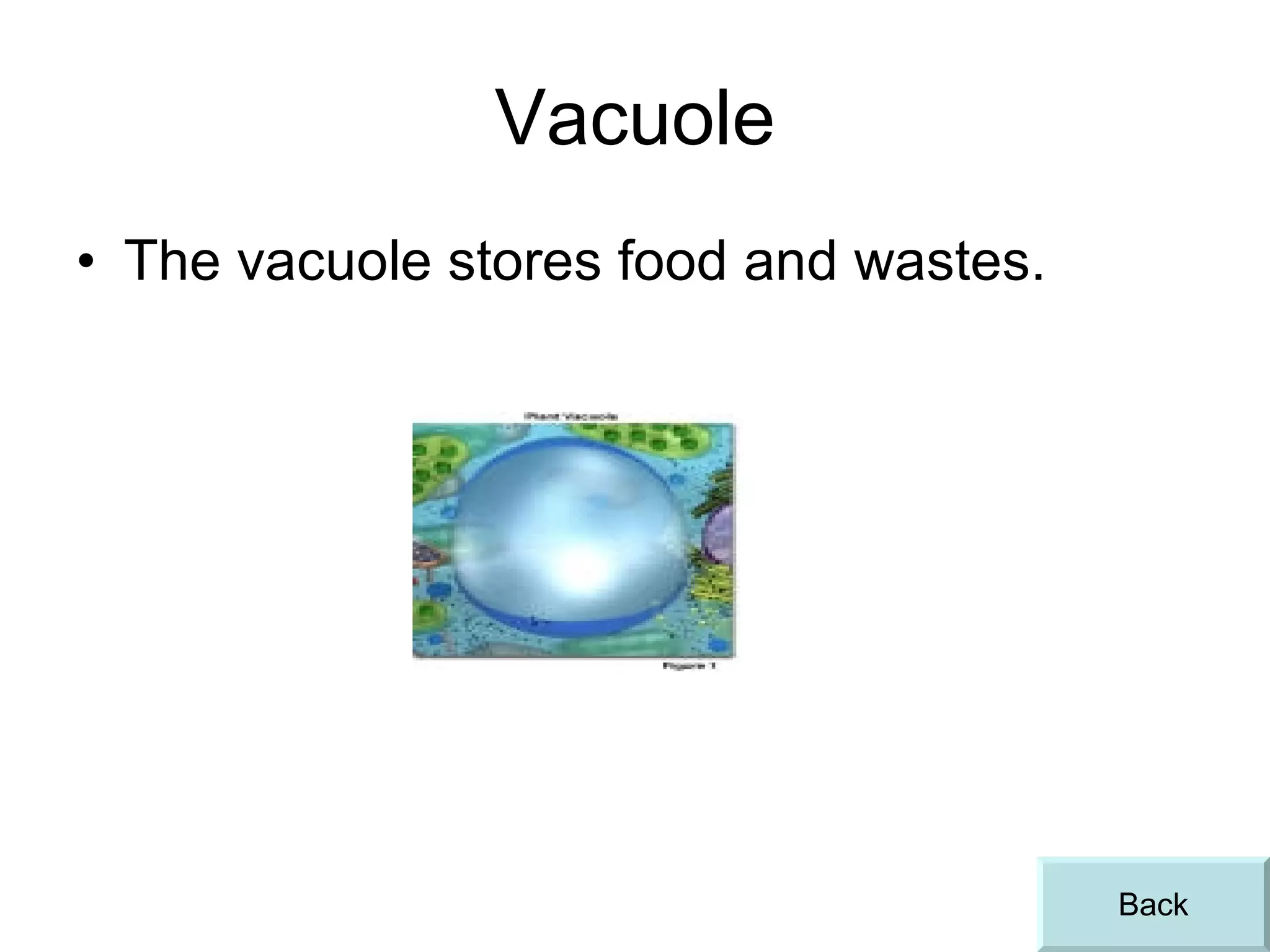 Cell Parts(2) | PPT