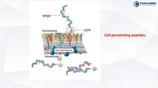 Cell penetrating peptides-Creative Peptides | PPTX
