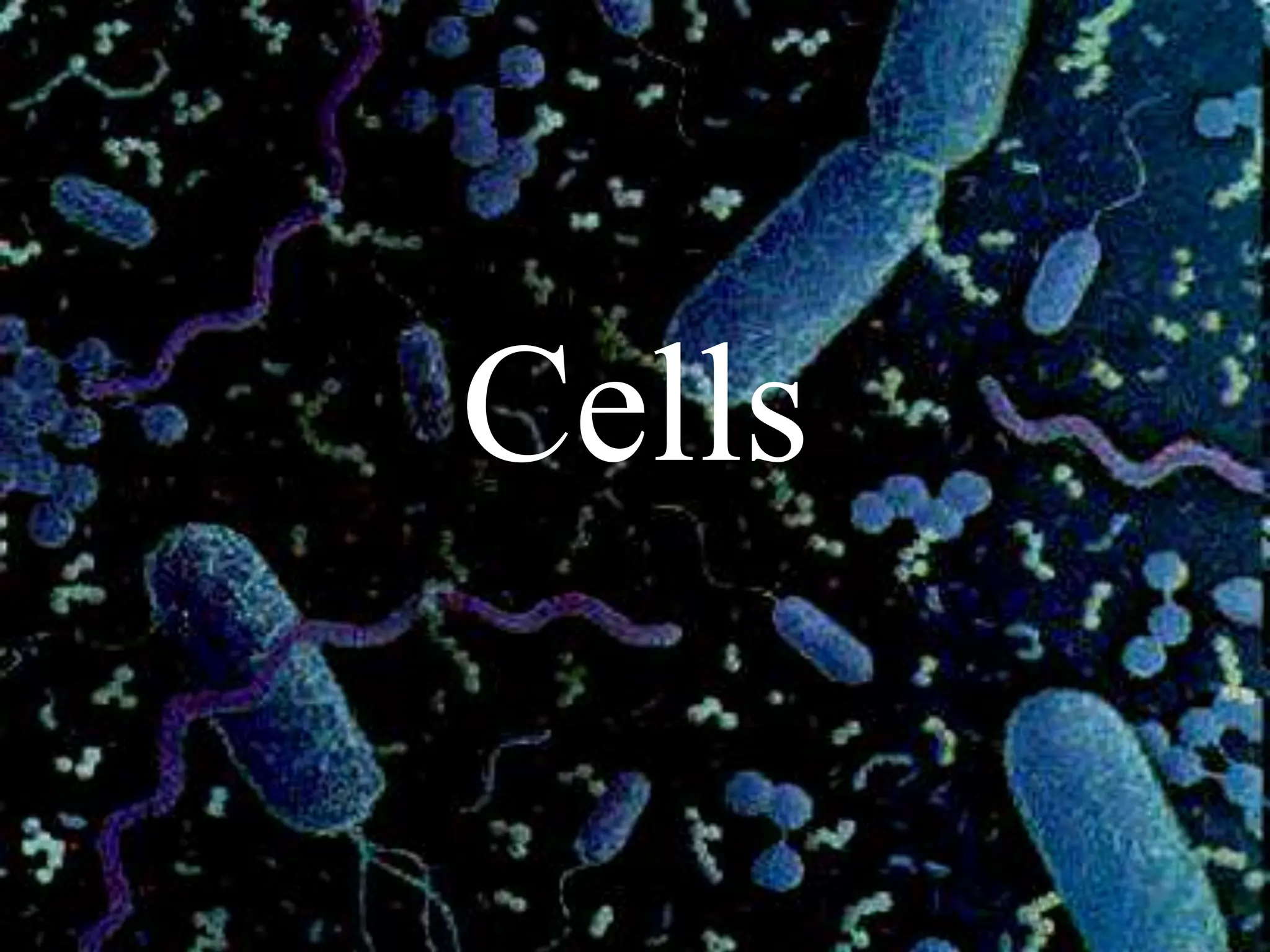 Cell-Structure and types -Eukaryotic and Prokaryotic .ppt | Biological ...