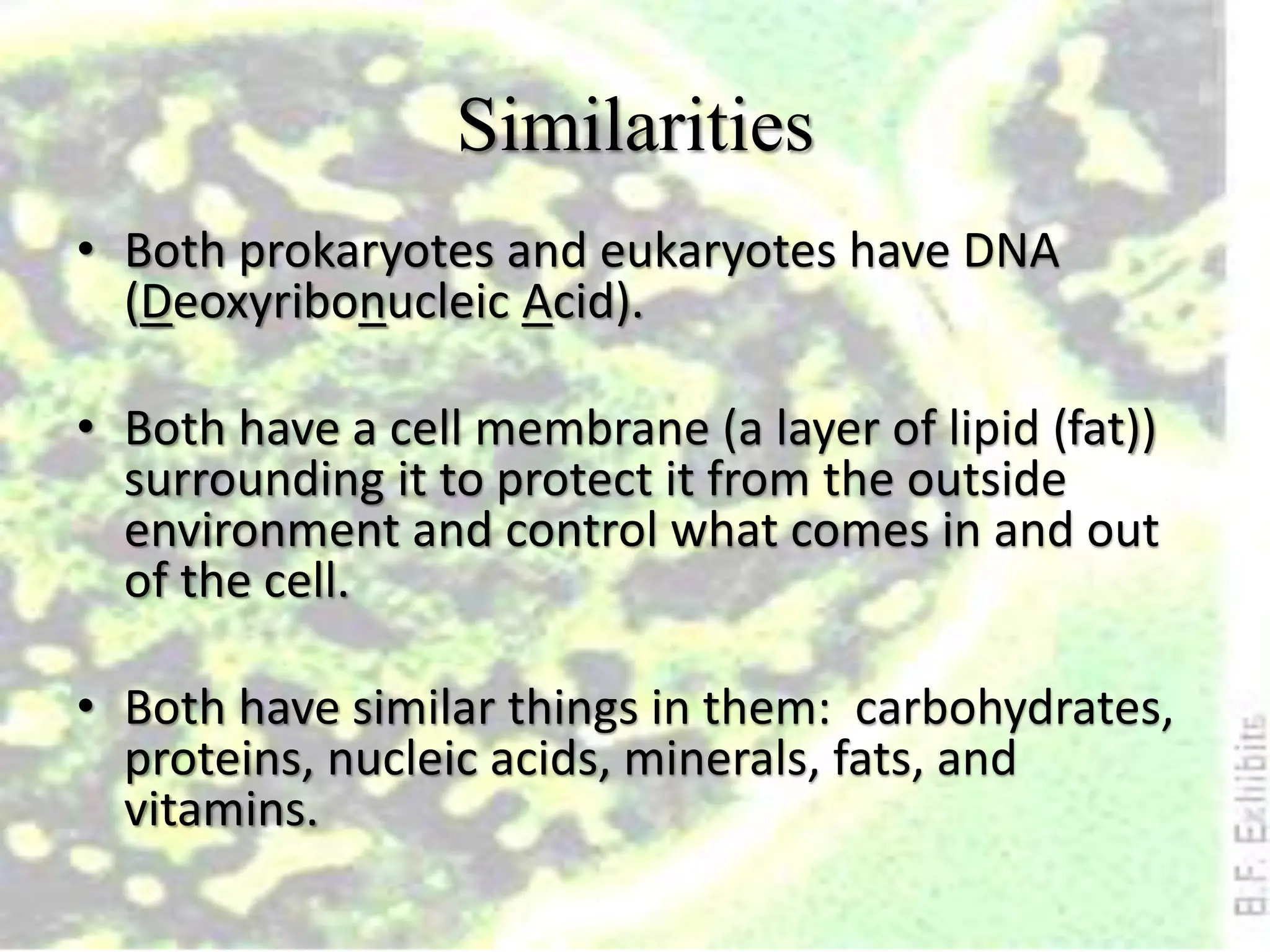 Cell-Structure and types -Eukaryotic and Prokaryotic .ppt | Biological ...