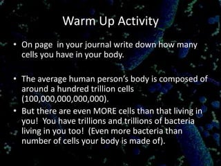 Cell-Structure and types -Eukaryotic and Prokaryotic .ppt | Biological ...