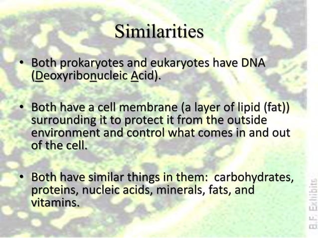 Cell-Structure and types -Eukaryotic and Prokaryotic .ppt | Biological ...