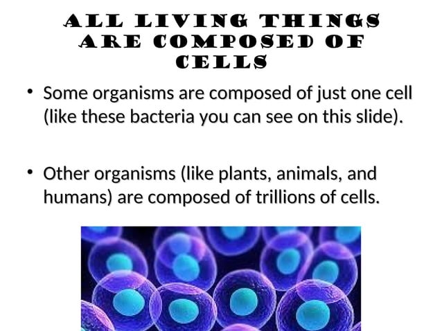 Basic information and characteristics of cells | PPT