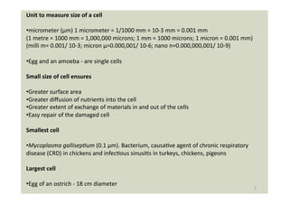 Cell | PDF