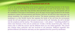 CELL -Structural and Functional unit of life.pdf