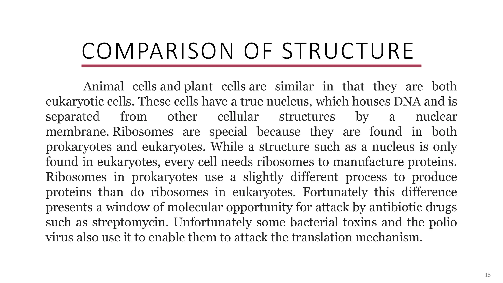 Cell-structure powerpoint presentation.pptx | Biological Sciences | Science