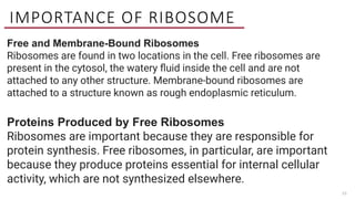 Cell-structure powerpoint presentation.pptx
