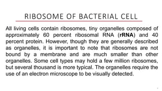 Cell-structure powerpoint presentation.pptx | Biological Sciences | Science