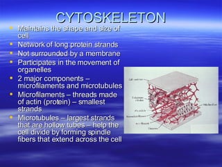 Cell Structure And Function | PPT
